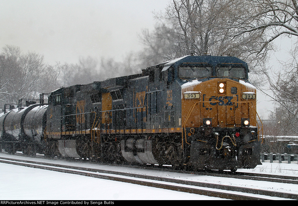 CSX 393 CSX 229